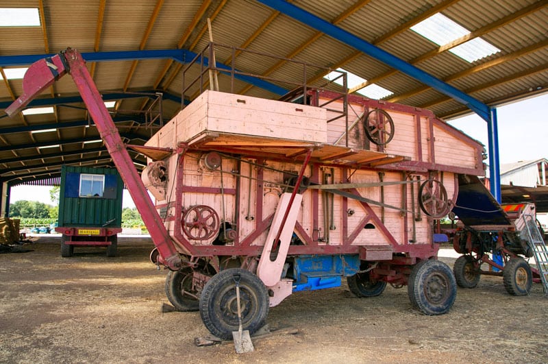 Packham Thatchers | Traditional thatchers | Dorset | Somerset | Devon