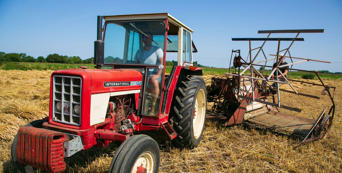 Packham Thatchers | Gallery of work undertaken | Traditional thatch