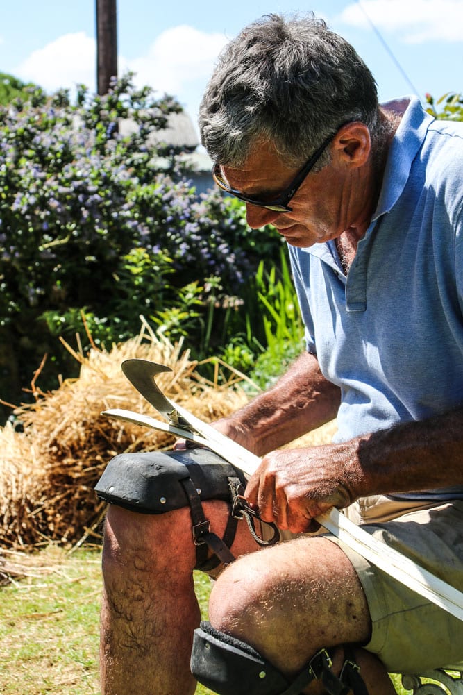 Packham Thatchers | Gallery of work undertaken | Traditional thatch
